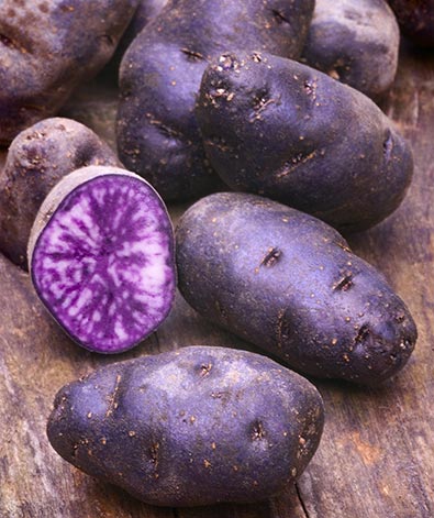 Potato, 'Blue' - De Groot, Inc. - Perennials, Daylilies, Fruits ...